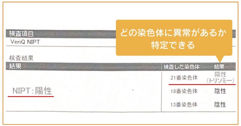 【完全ガイド】NIPTの結果の見方と返却までの流れを詳しく解説 | NIPTカウンセリング